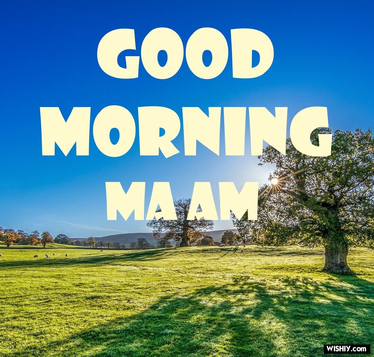 70+ Good Morning Wishes And Images For Teacher - Good Morning Wishes