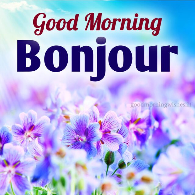 Good Morning (Bonjour) Wishes In French With Images - Good Morning Wishes