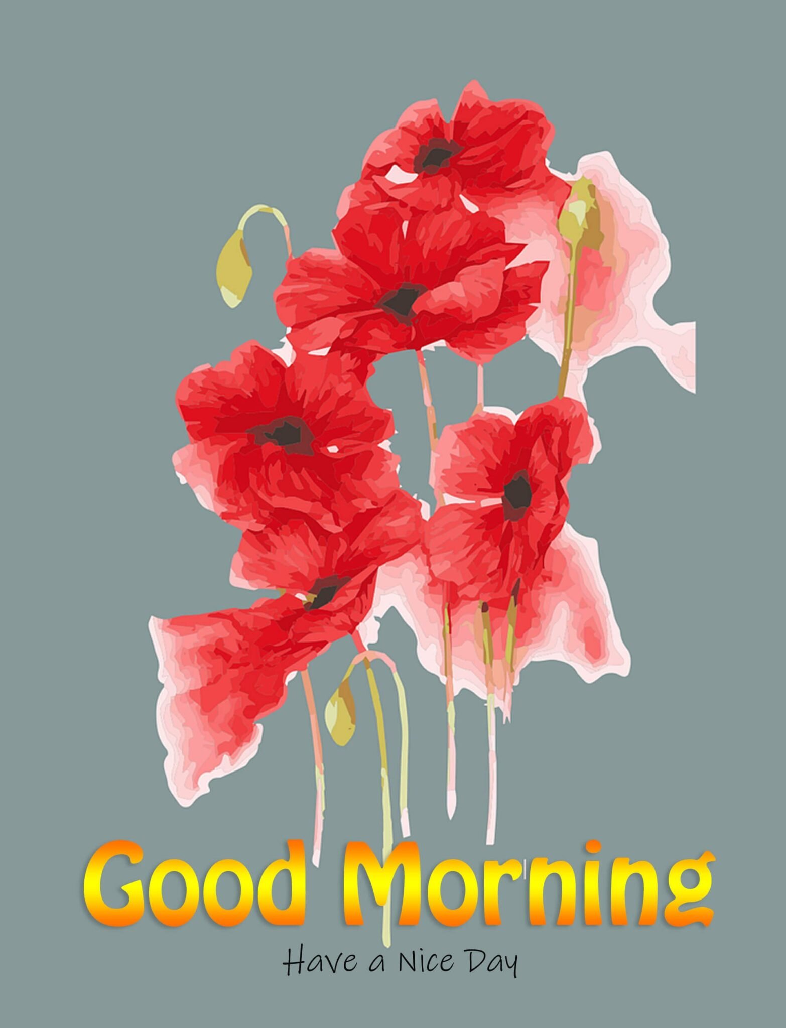 120+ Good Morning 4K HD Images - Good Morning Wishes