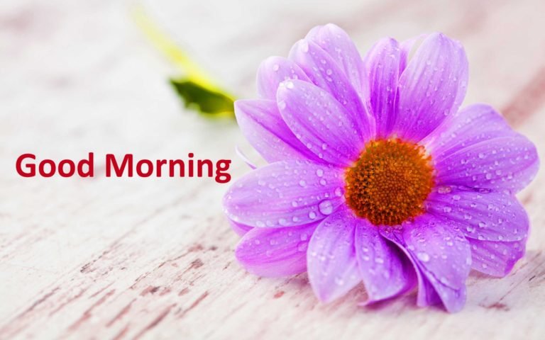 120+ Good Morning 4K HD Images - Good Morning Wishes