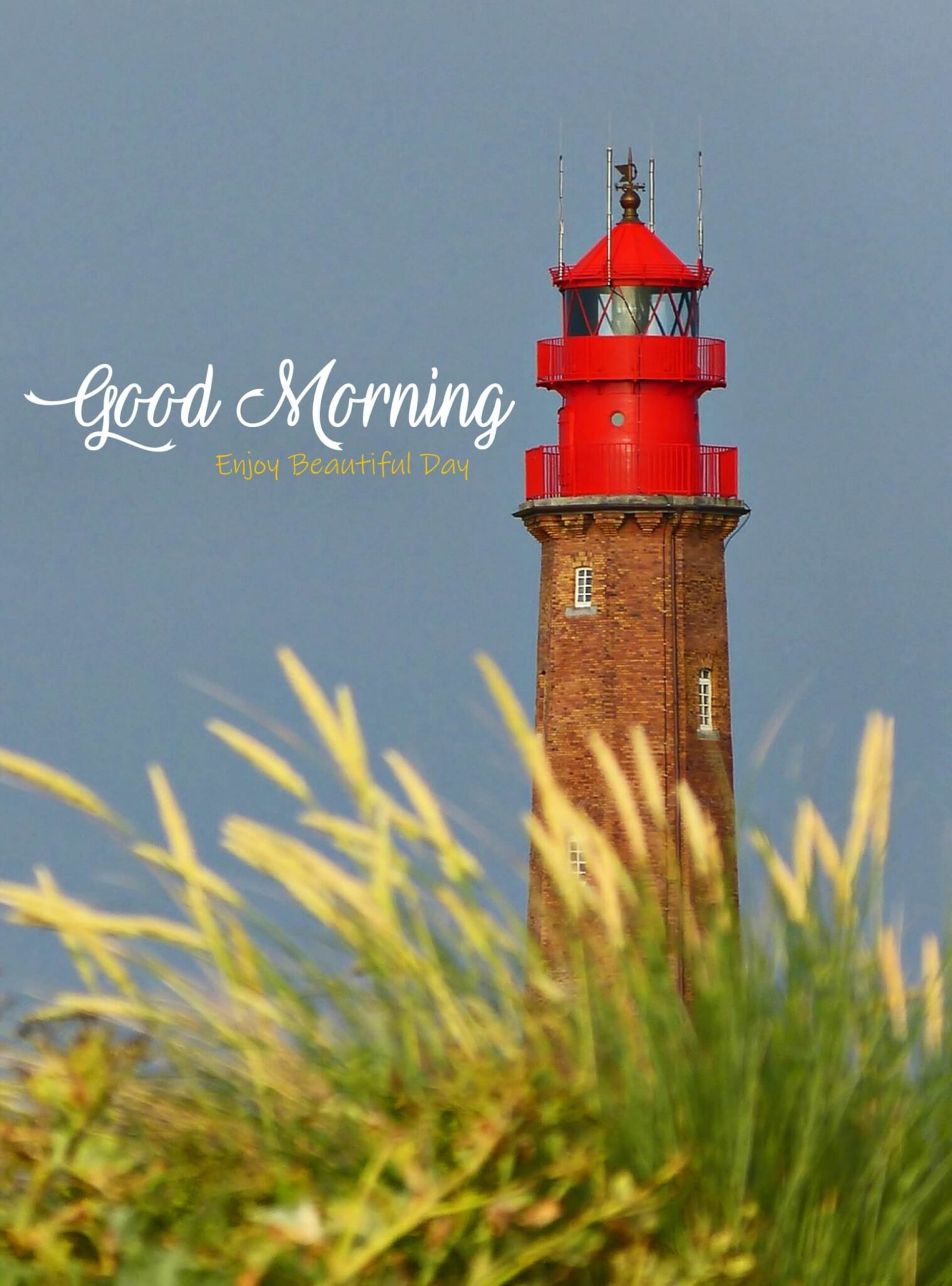 120+ Good Morning 4K HD Images - Good Morning Wishes