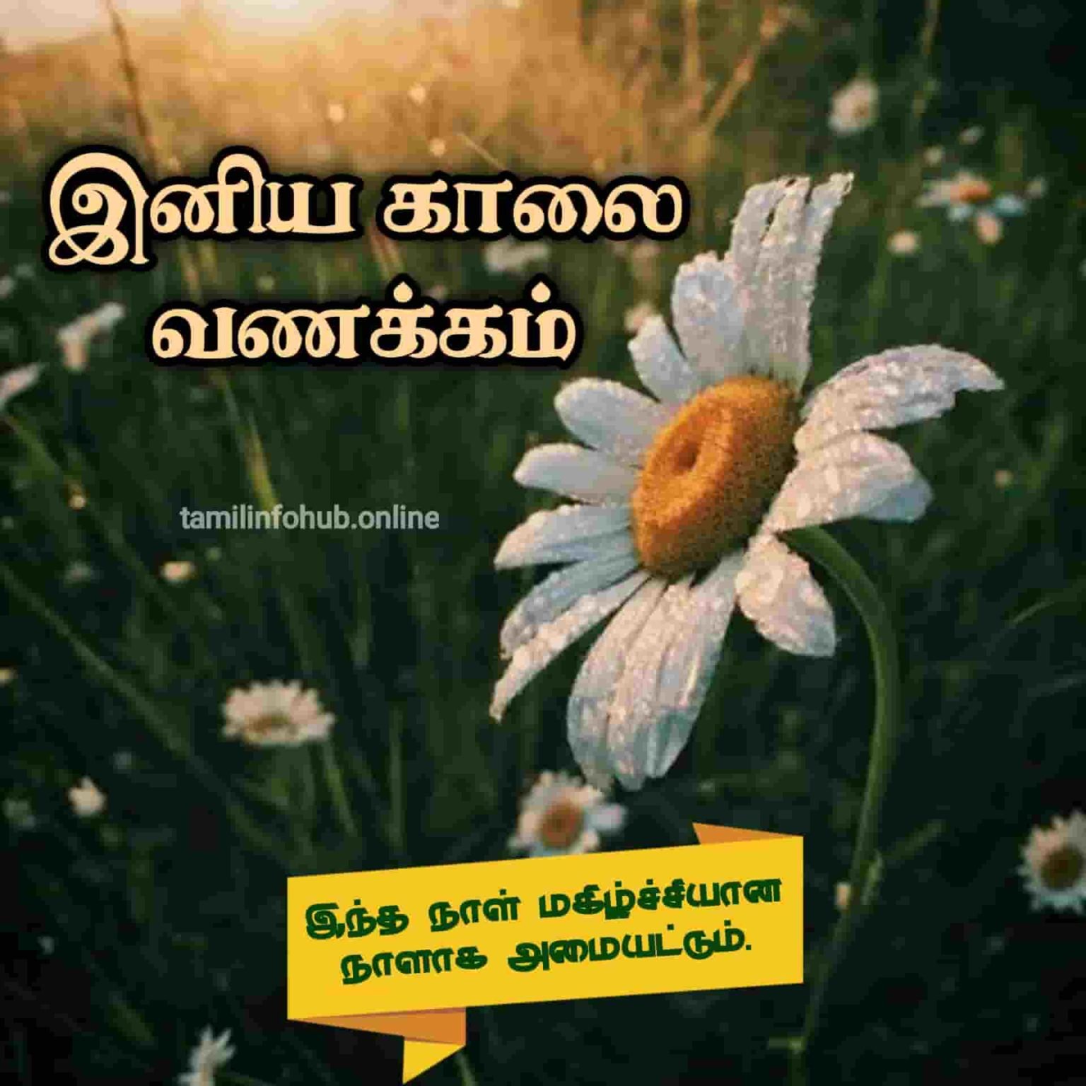 80+ Tamil Good Morning Wishes, Images & SMS - Good Morning Wishes