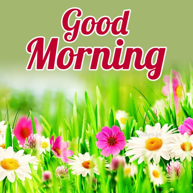 100+ Good Morning Wishes & Glitter GIFs For Your Partner - Good Morning ...