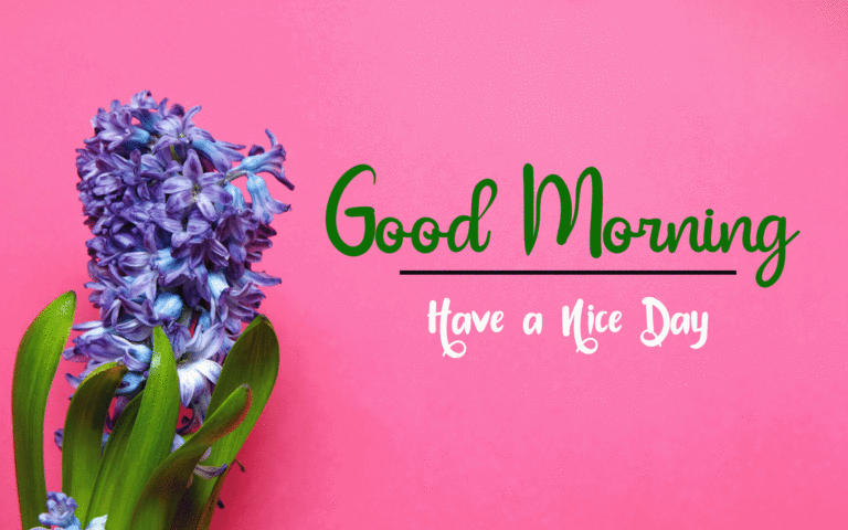 60+ Good Morning Blue Flowers Images & Wishes - Good Morning Wishes ...