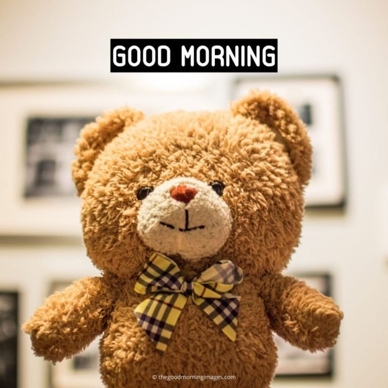 120+ Teddy Bear Good Morning Images - Good Morning Wishes, Images ...