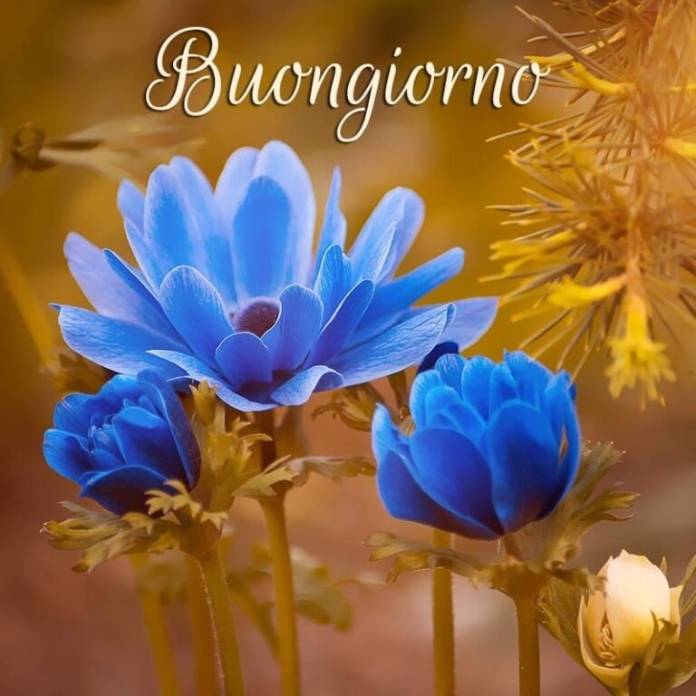 Good Morning In Italian (Buongiorno) – Wishes, Status & Images - Good ...