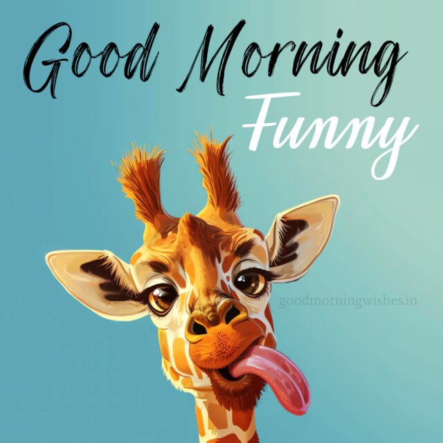 70+ Funny Good Morning GIFs & Wishes - Good Morning Wishes