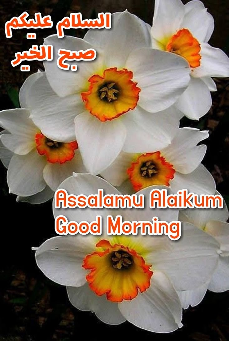 120+ Good Morning Assalamualaikum Wishes & Images - Good Morning Wishes