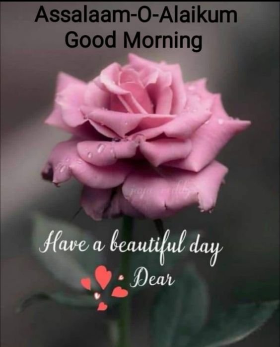 120+ Good Morning Assalamualaikum Wishes & Images - Good Morning Wishes