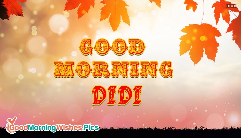 140+ Good Morning Didi Images - Good Morning Wishes