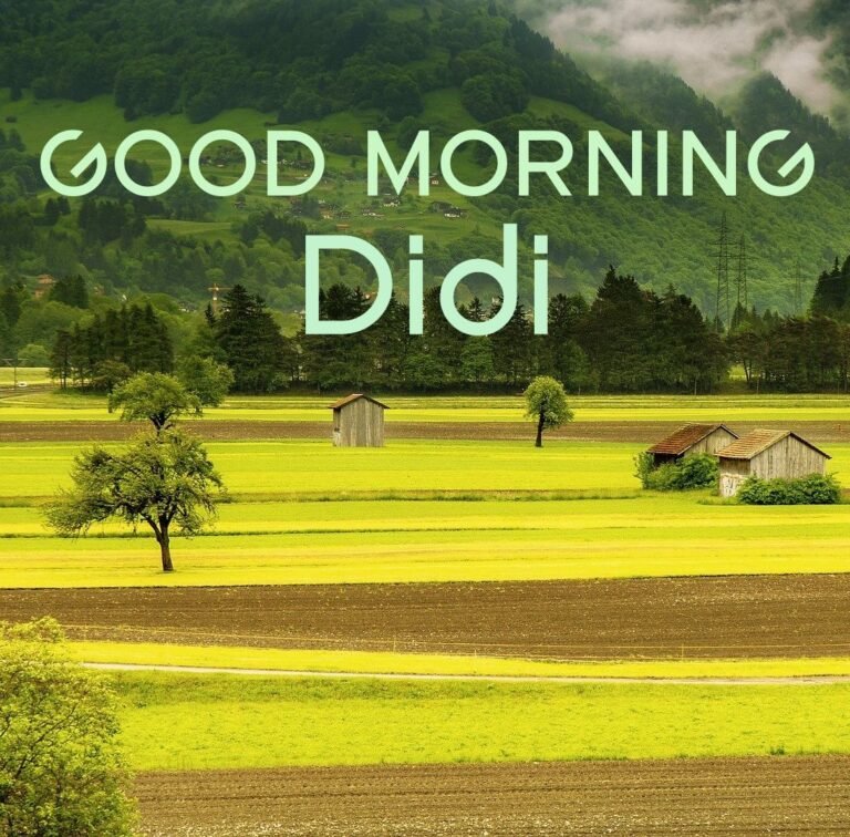 140+ Good Morning Didi Images - Good Morning Wishes