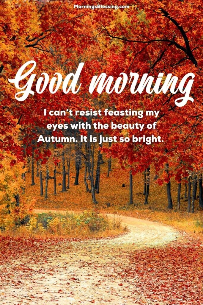 140+ Good Morning Fall Wishes, GIFs & Images - Good Morning Wishes