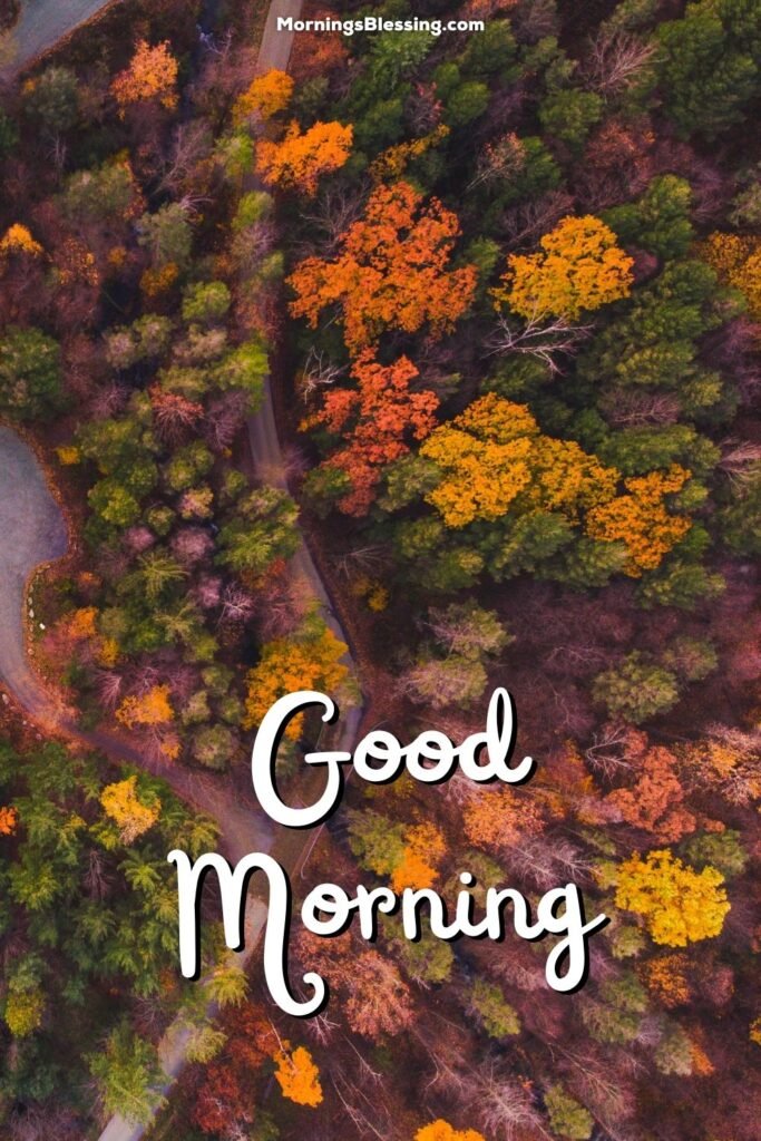 140+ Good Morning Fall Wishes, GIFs & Images - Good Morning Wishes