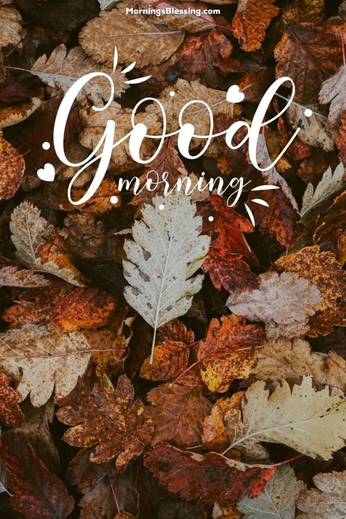 140+ Good Morning Fall Wishes, GIFs & Images - Good Morning Wishes