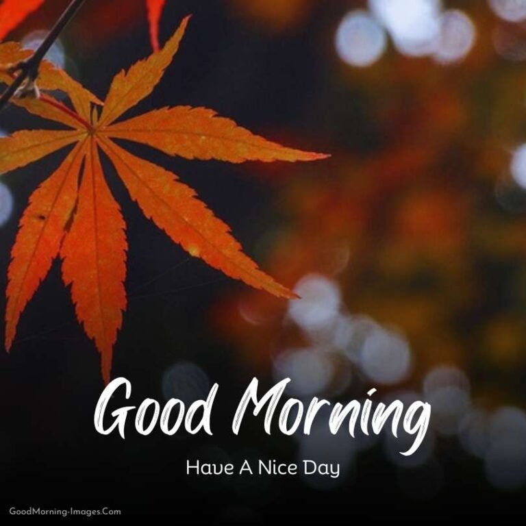 140+ Good Morning Fall Wishes, GIFs & Images - Good Morning Wishes
