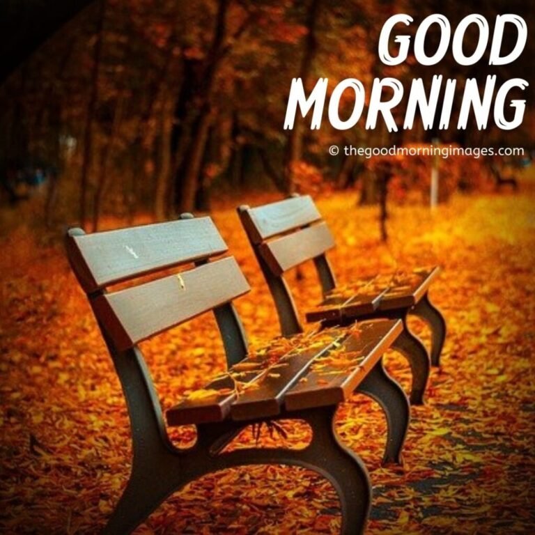 140+ Good Morning Fall Wishes, GIFs & Images - Good Morning Wishes