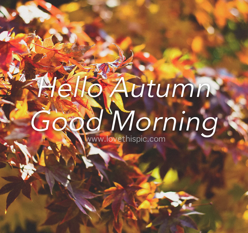 140+ Good Morning Fall Wishes, GIFs & Images - Good Morning Wishes