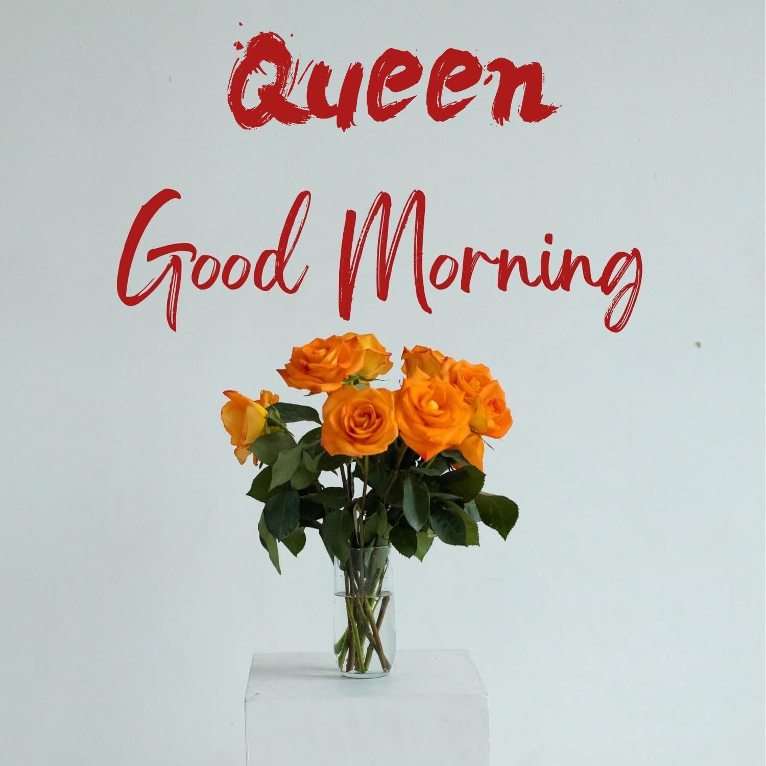 35+ Good Morning Queen Images - Good Morning Wishes