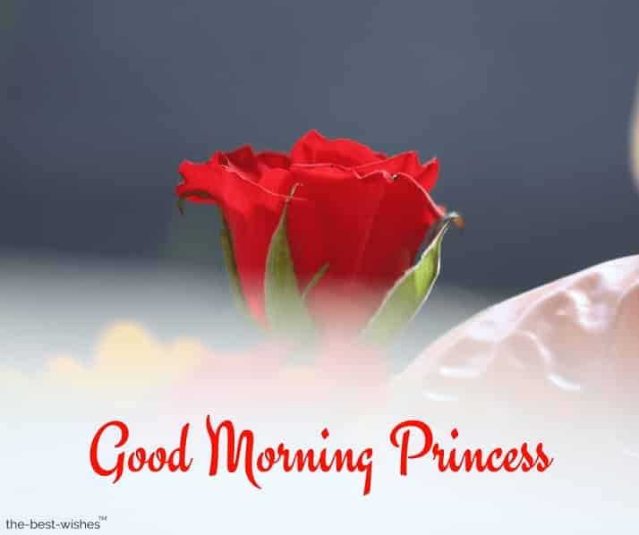 35+ Good Morning Princess Images - Good Morning Wishes