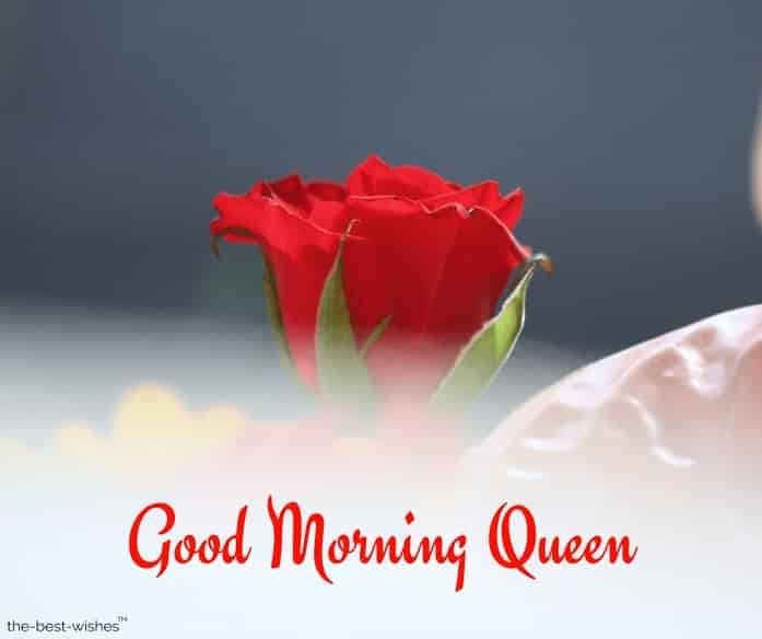 35+ Good Morning Queen Images - Good Morning Wishes