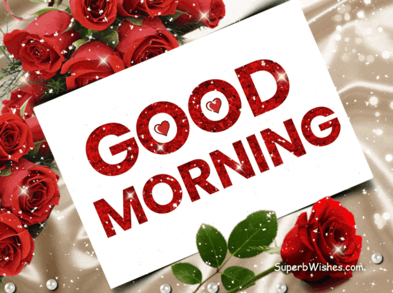 25+ Good Morning Rose Images - Good Morning Wishes