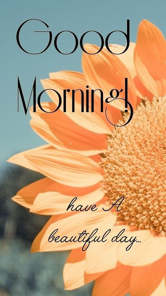 25+ Good Morning Orange Flowers Pictures - Good Morning Wishes