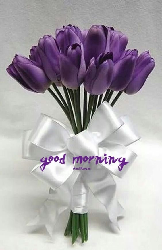 30+ Good Morning Purple Flowers Images - Good Morning Wishes