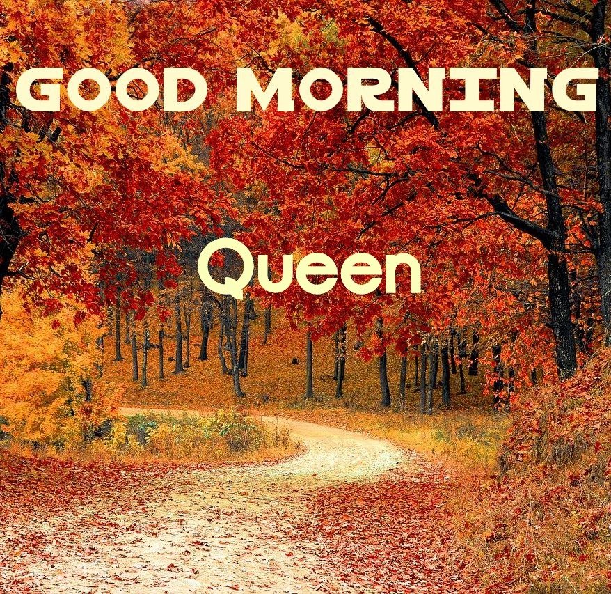 35+ Good Morning Queen Images - Good Morning Wishes
