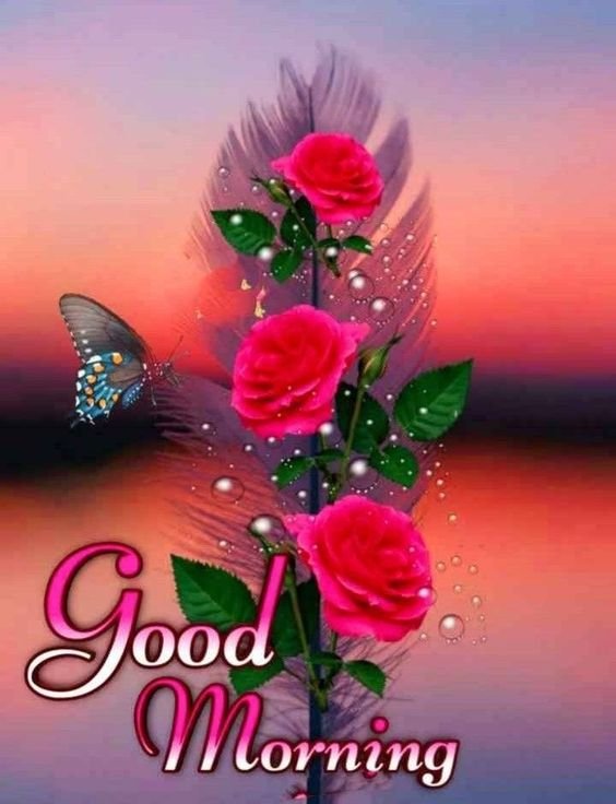 25+ Good Morning Red Flowers Pictures - Good Morning Wishes