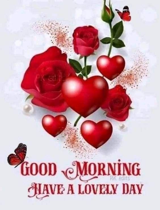 25+ Good Morning Red Flowers Pictures - Good Morning Wishes