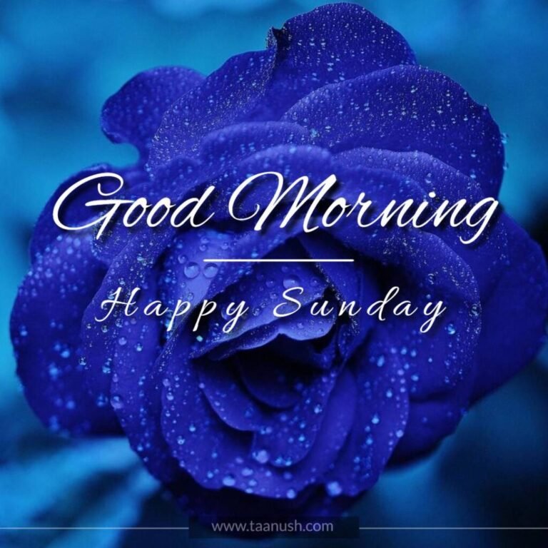 60+ Good Morning Blue Rose Images & GIFs - Good Morning Wishes