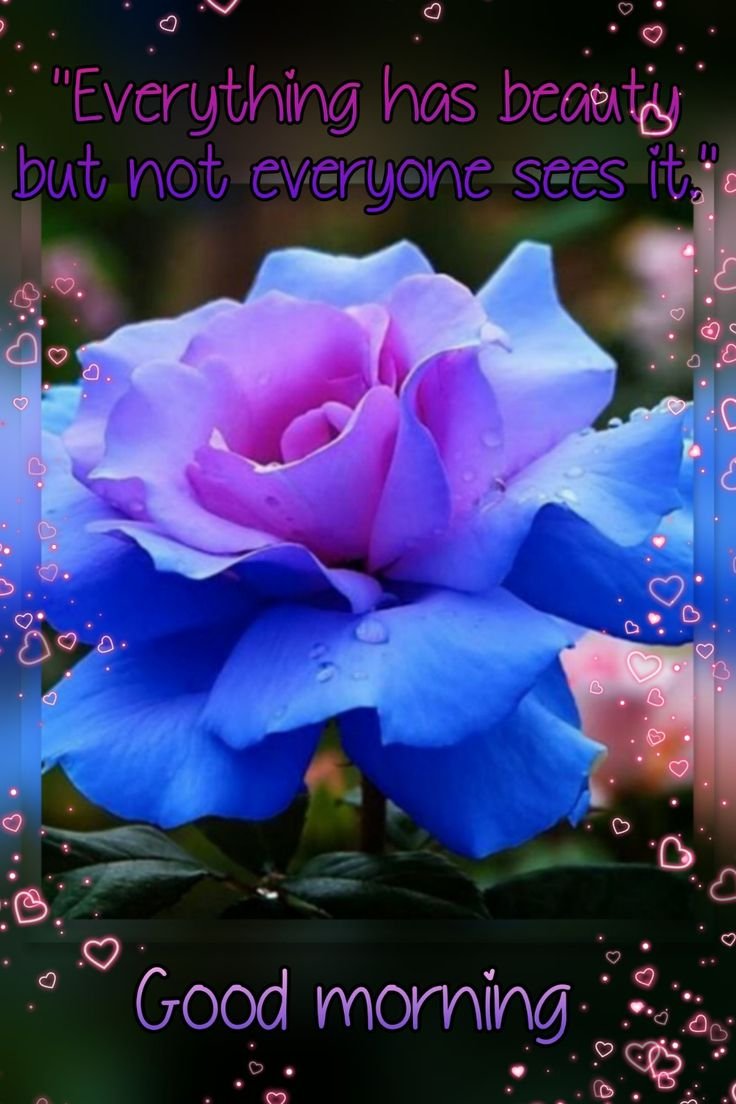 60+ Good Morning Blue Rose Images & GIFs - Good Morning Wishes