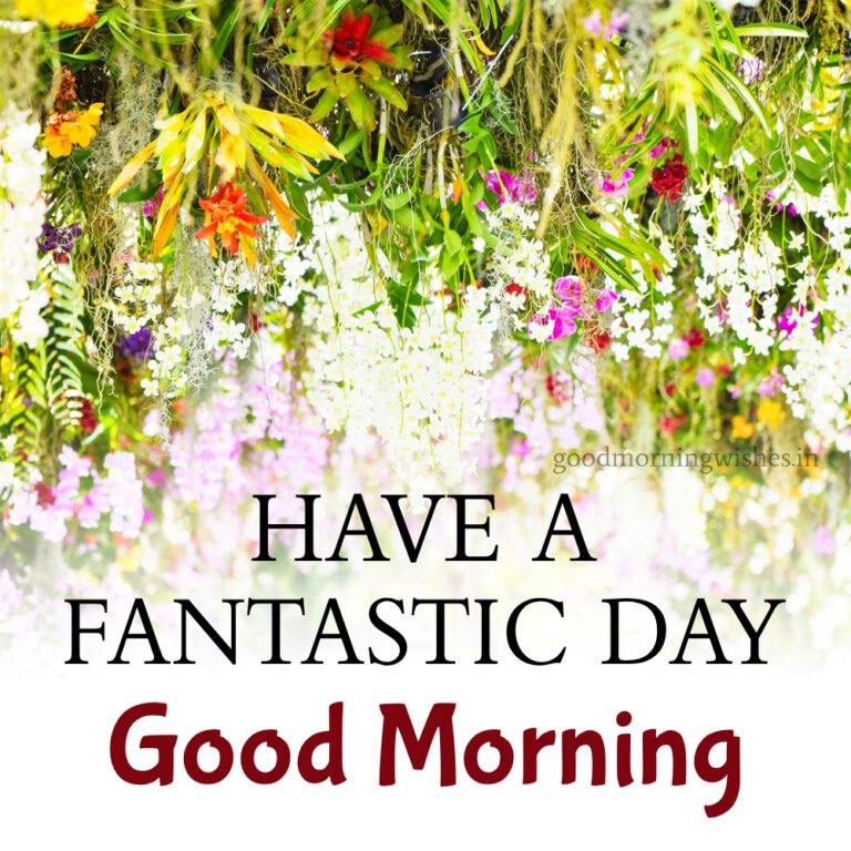 Good Morning in Irish Wishes & Images - Good Morning Wishes