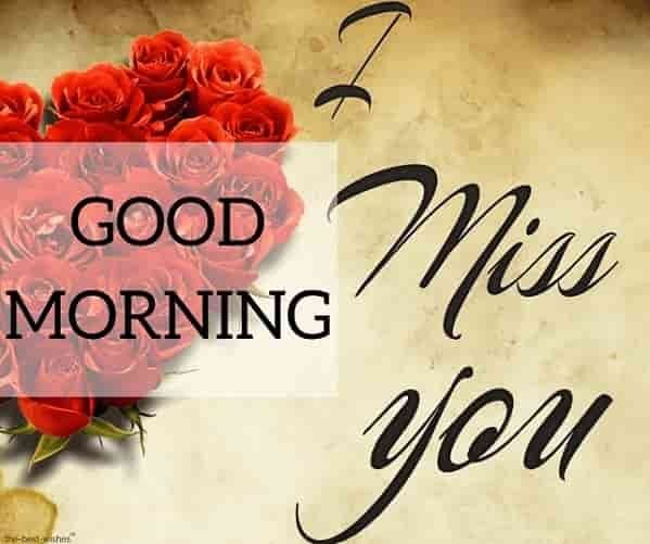 Good Morning Wishes in Dutch (Goede Morgen) – Images & Texts - Good ...
