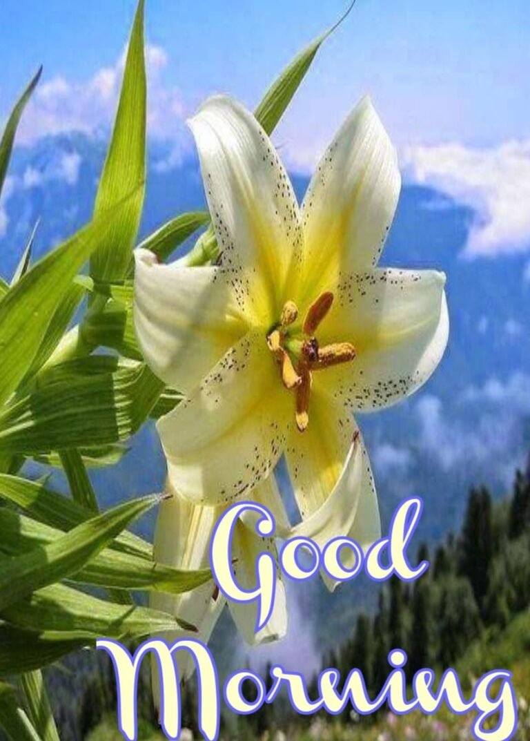 30+ Good Morning Lotus Flower Images - Good Morning Wishes