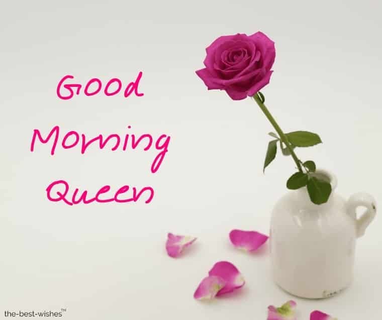 35+ Good Morning Queen Images - Good Morning Wishes