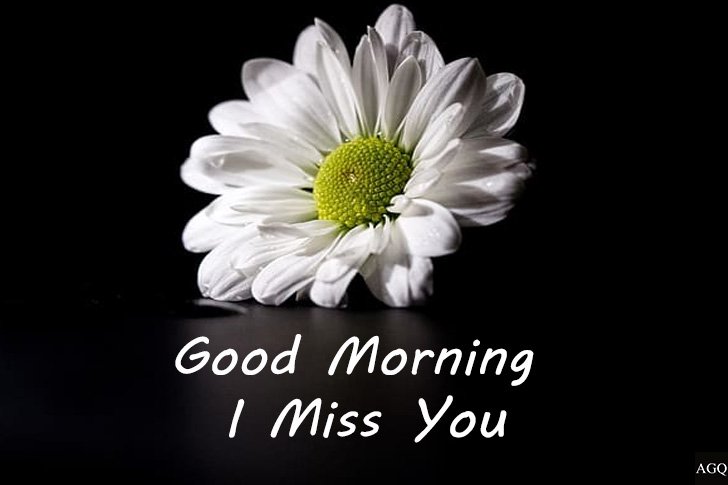30+ Good Morning I Miss You Wishes and Images - Good Morning Wishes
