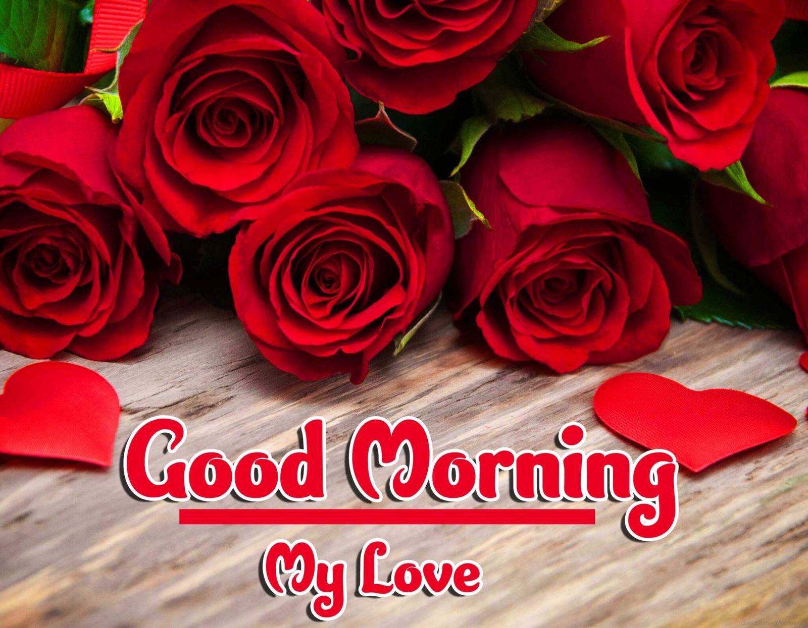 25+ Good Morning Red Rose Images - Good Morning Wishes