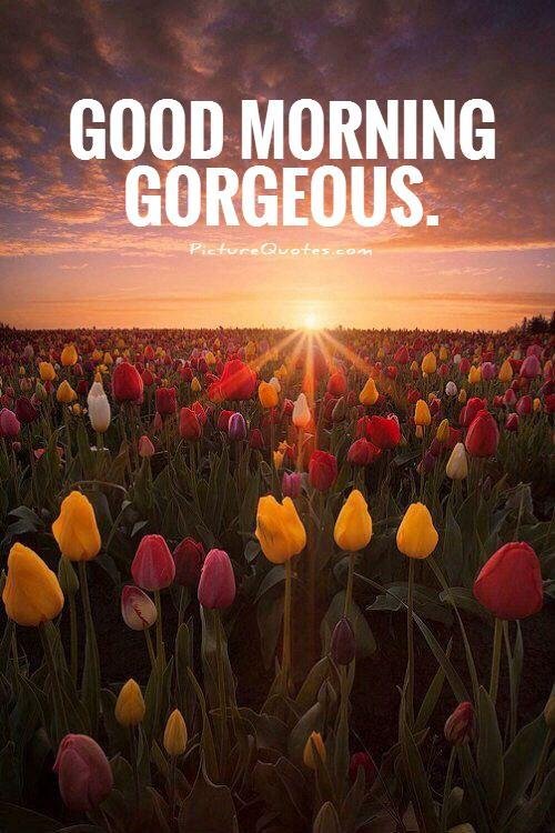 40+ Good Morning Gorgeous Images - Good Morning Wishes
